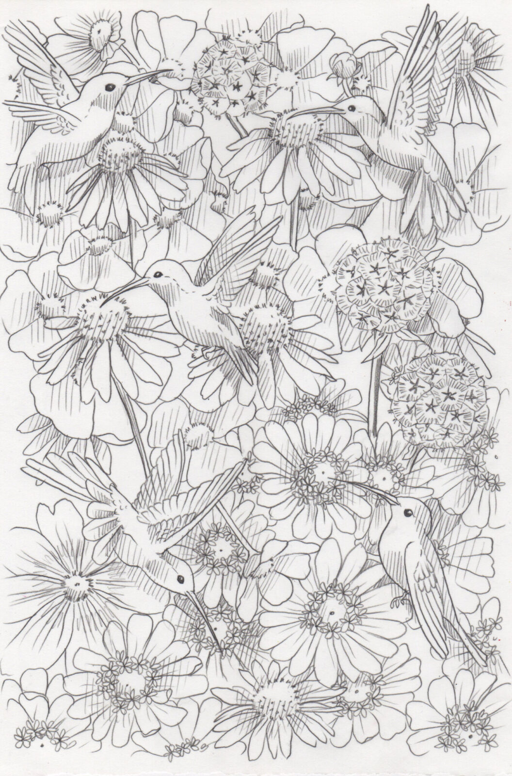 Humble Sketch » 111 Minna Gallery & Event Space